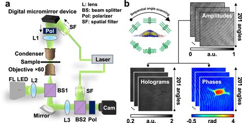 Schematic Diagrams Of Three Dimensional 3d Optical Diffraction
