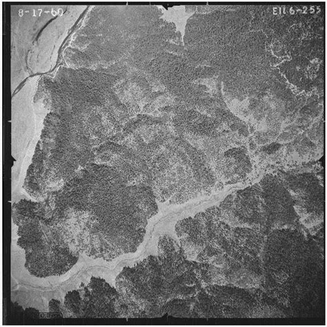 Collinearity Condition Equations [91] Download Scientific Diagram