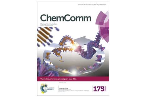 Continuous Flow Knitting Of A Triptycene Hypercrosslinked Polymer App