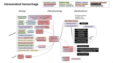 Pathophysiology Of Intracranial Hemorrhage Intracerebral Hemorrhage