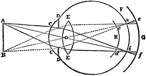 Formation Of Circles Of Diffusion ClipArt ETC