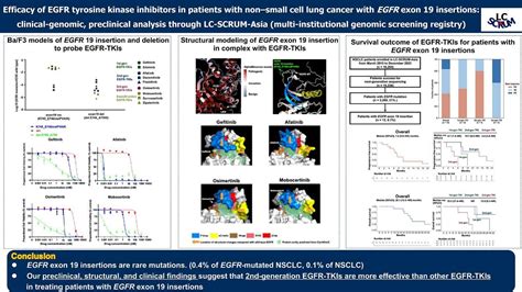 Efficacy Of Egfr Tyrosine Kinase Inhibitors In Patients With Nonsmall