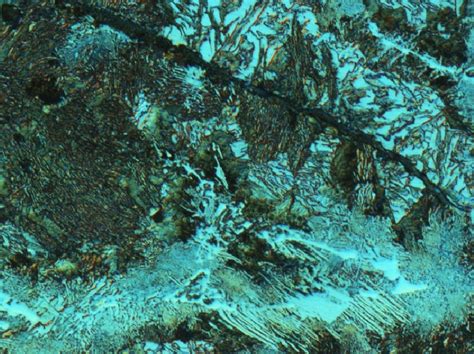 Grey Iron Microstructure Received From The Contact Area With Modified Download Scientific