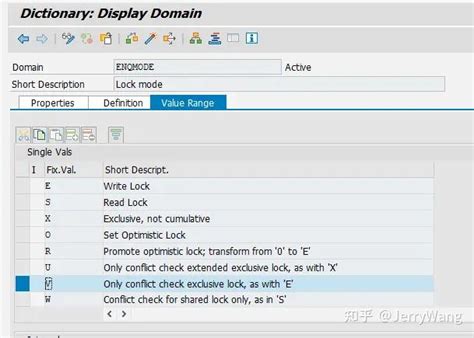 关于 Sap Abap 里的锁类型 Lock Type 知乎