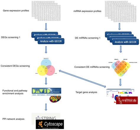 Identifying The Key Genes And MicroRNAs In Colorectal Cancer Liver
