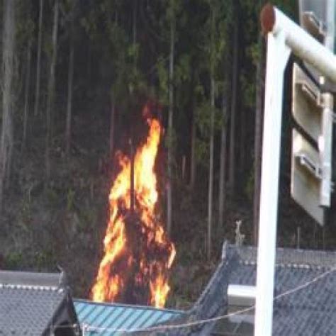 How To Use The Fire Detection Instance Segmentation Api