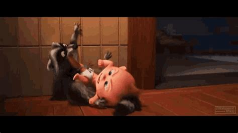 Jack Jack Raccoon 