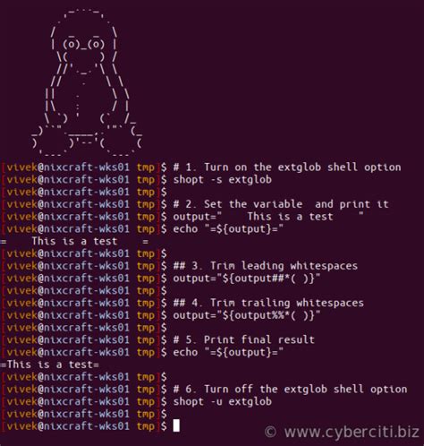 Bash Shell Remove Trim White Spaces From String Variable NixCraft