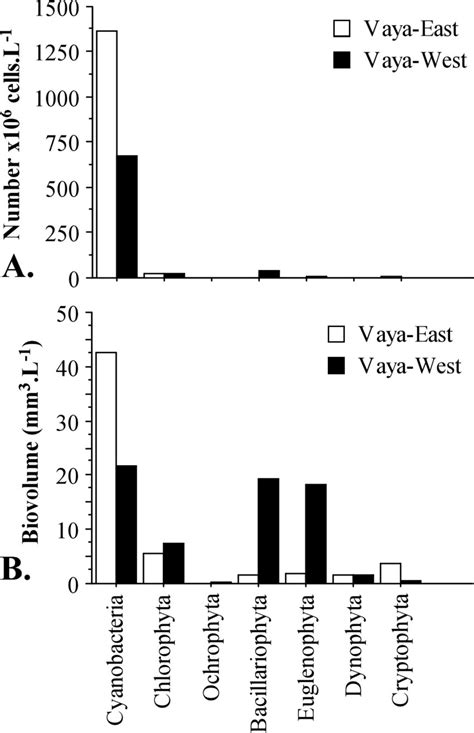 Phytoplankton Abundance Of The Taxonomic Groups A And Biovolume Of