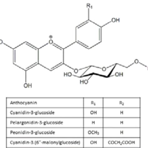 The Principal Anthocyanins Found In Purple Corn Download Scientific