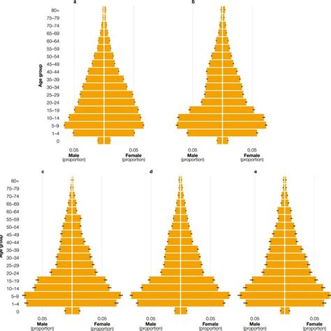 Predicted Age And Sex Structures Population Pyramids Presenting The Download Scientific Diagram