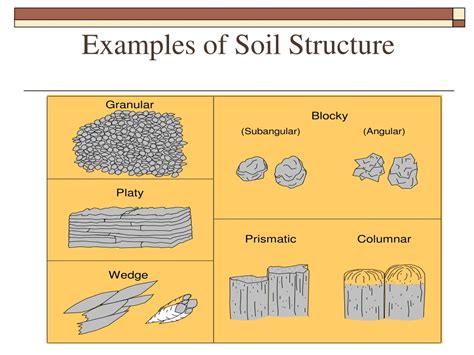 PPT - Soil Types and Textures PowerPoint Presentation, free download - ID:1093513