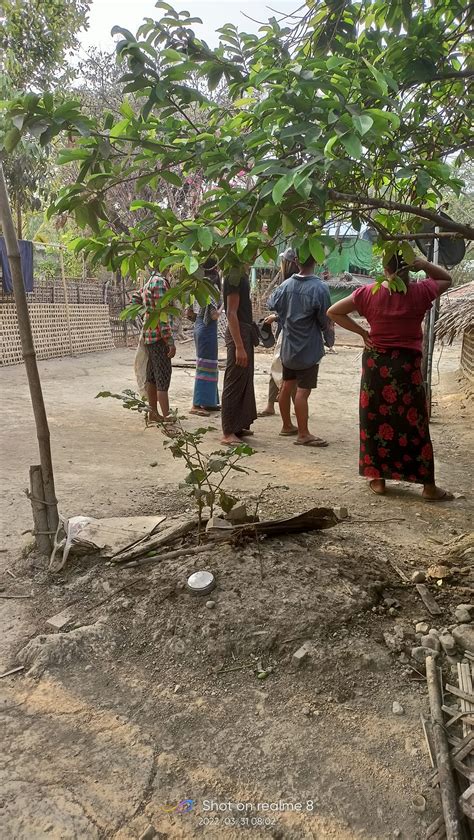 Future သာလီစွပါ နစ်သစ်မှာ ပျော်ရွှင်ကြပါဇီ အမျိုးရို့ Photo