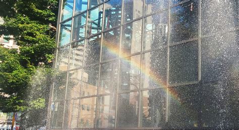 비가 내린 뒤 무지개가 뜰 겁니다