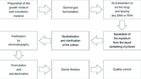Basic Steps In Production Of Enzyme Download Scientific Diagram