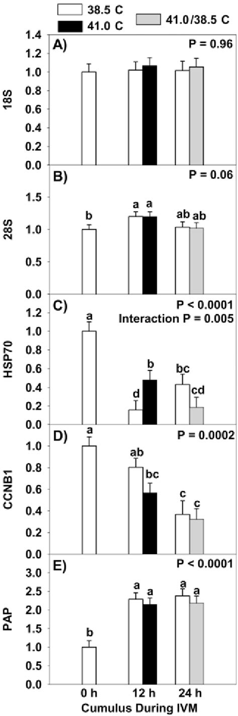 Relative Abundance Of Transcripts For Surrounding Cumulus Cells Of Download Scientific Diagram