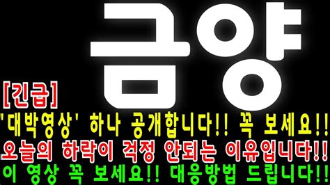 금양 긴급 대박영상 하나 공개합니다 꼭 보세요오늘의 하락이 걱정 안되는 이유입니다이 영상 꼭 보세요 대응방법 드립니다 박부장 Youtube