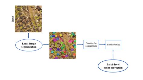 The Procedure For Evaluating A New Patch Using Our Framework