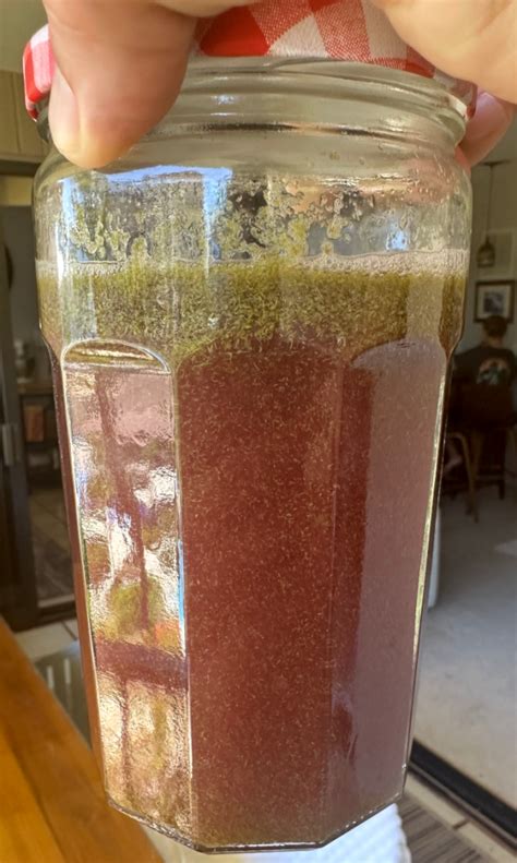 Is It Ash Is It Oil No Its Trichodesmium Maui Nui Marine