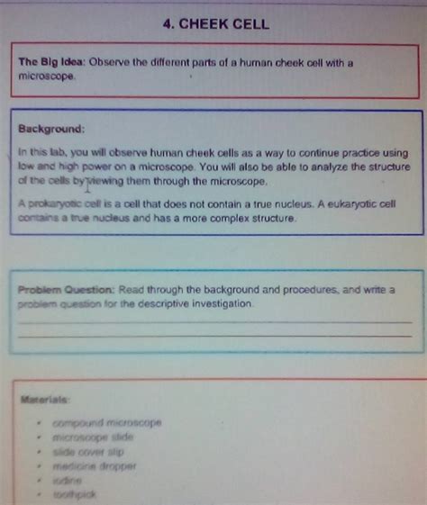 Solved 4 Cheek Cell The Big Idea Observe The Different Parts Of A