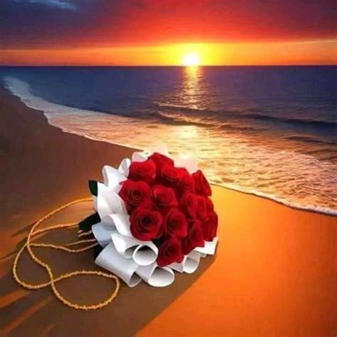 عشاق سهر الليالي