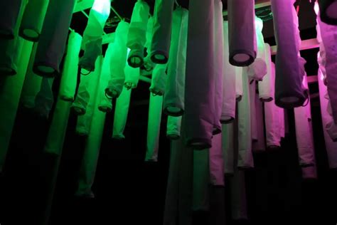 ”wisteria” By Morphogenesis Lab Embodying Human Emotion And Cognition