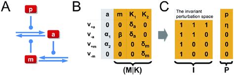 A Simple Example Of Global Concentration Robustness A The Output Download Scientific Diagram