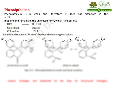 Solution Theory Of Acid Base Indicators Studypool