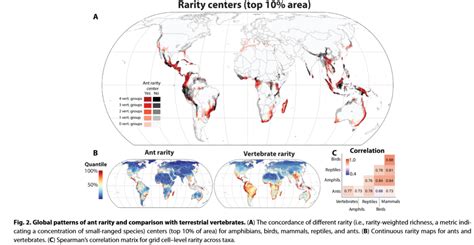 The First High Resolution Global Map Of Ant Biodiversity And Estimates Of Where Future Sampling