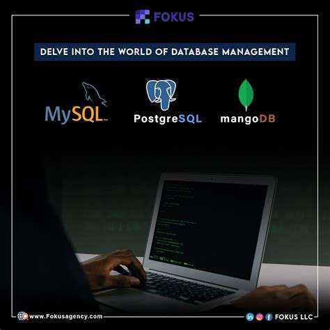 fokus llc on linkedin management development database
