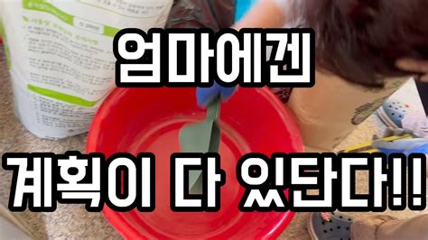 다육이 흙배합 하는 법 서툴러도 괜찮아 다육이 화분 샀어요~~~ 까라솔 꼬집기 Youtube