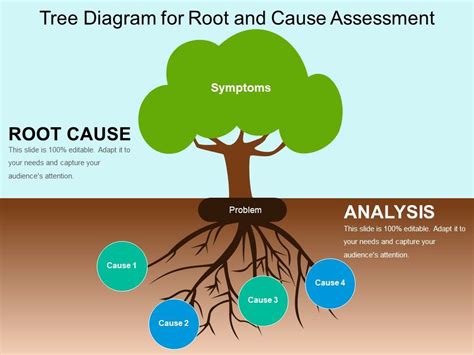 Tree Diagram For Root And Cause Assessment Ppt PowerPoint Presentation Gallery Information PDF