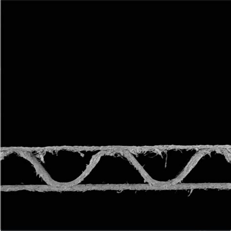 Results Of The Preprocessing Stage A A Gray Scale Cropped Image Of Download Scientific