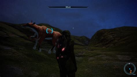 I Think It Would Be Nice If These Cows Would Be At Ontarom In Mass