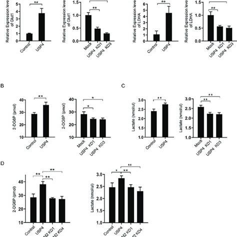Usp4 Enhances The Warburg Effect Of Gastric Cancer Cells Through Its
