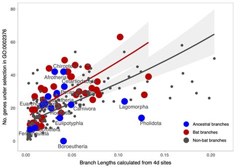 Bat Genomes Illuminate Adaptations To Viral Tolerance And Disease