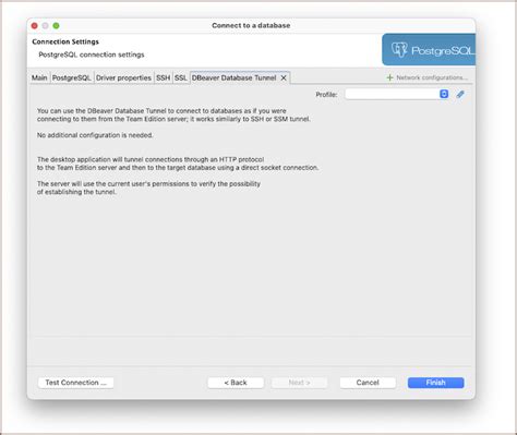 Dbeaver Database Tunnel Team Edition Documentation