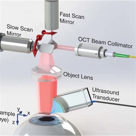 Layout Of Acoustic Micro Tapping And 4d Phs Oct Imaging System For Soft