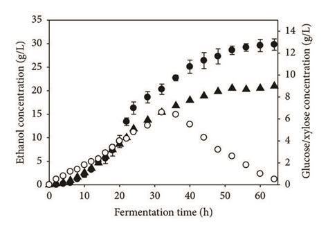 Batch Simultaneous Saccharification And Fermentation Of The