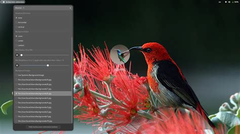 review control blur effect on lockscreen version 23 gnome shell
