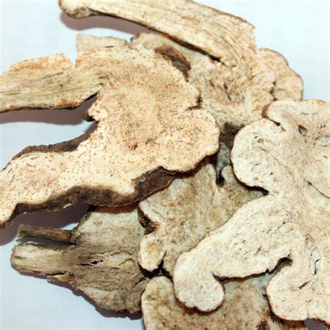 Atractylodes Macrocephala Bai Zhu White Atractylodes Eastern