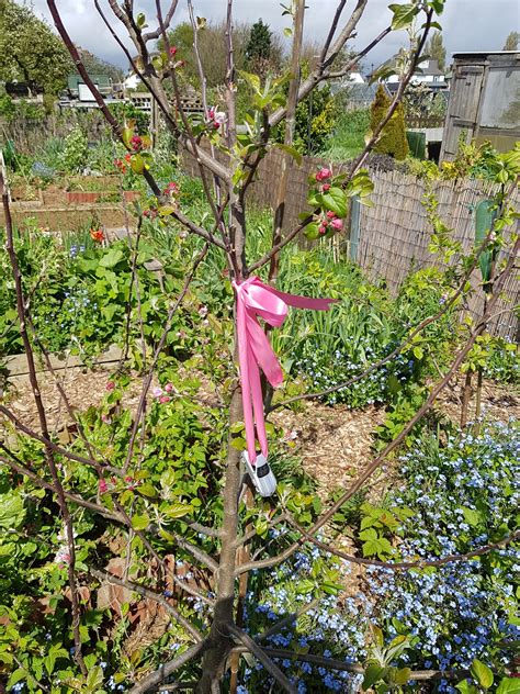 News Lucy Rutherford