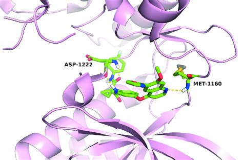 the binding model of compound 50 bound to c met pdb code 3lq8