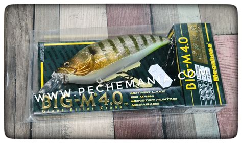 megabass big m 4 0 pechemania