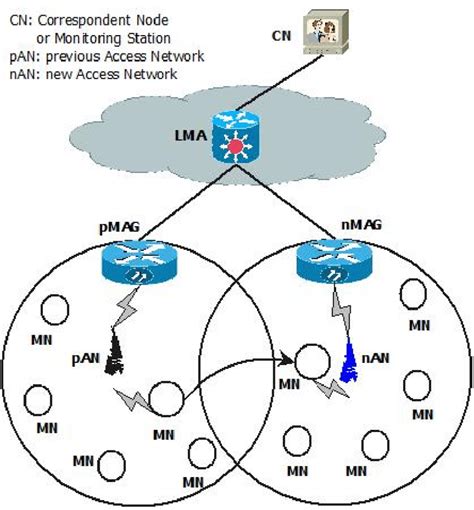 simulation network topology see online version for colours download