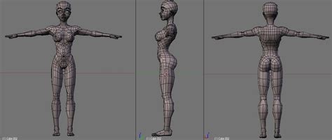Rigging Problems Focused Critiques Blender Artists Community
