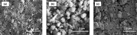 Sem Images Showing The Surface Morphology Of The Catalyst Support Download Scientific Diagram