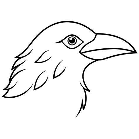 American Crow Head Icon On White Background Illustration Line Art
