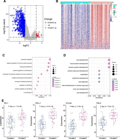 Differential Gene And Pathway Analysis Of Different Tme Cluster Of