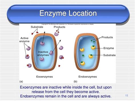 Ppt Microbial Metabolism Powerpoint Presentation Free Download Id
